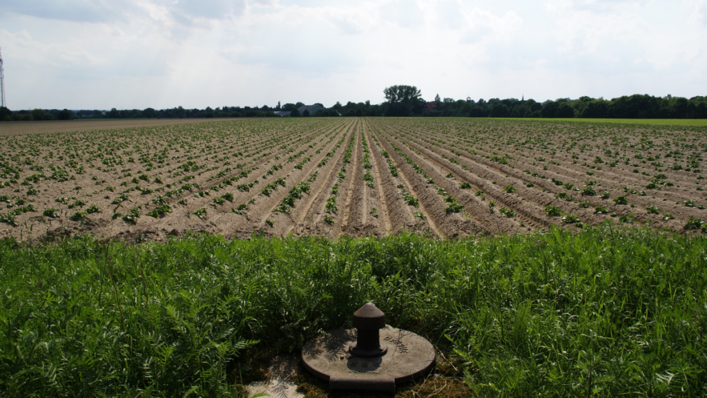 New First Nations Health Rural GP Incentive payment - AH&MRC